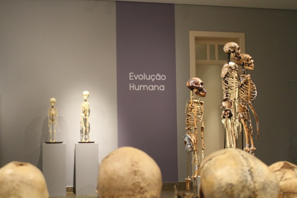 Governo ES - Exposição ‘Corpo Humano - Da Célula ao Homem’ até 11 de ...