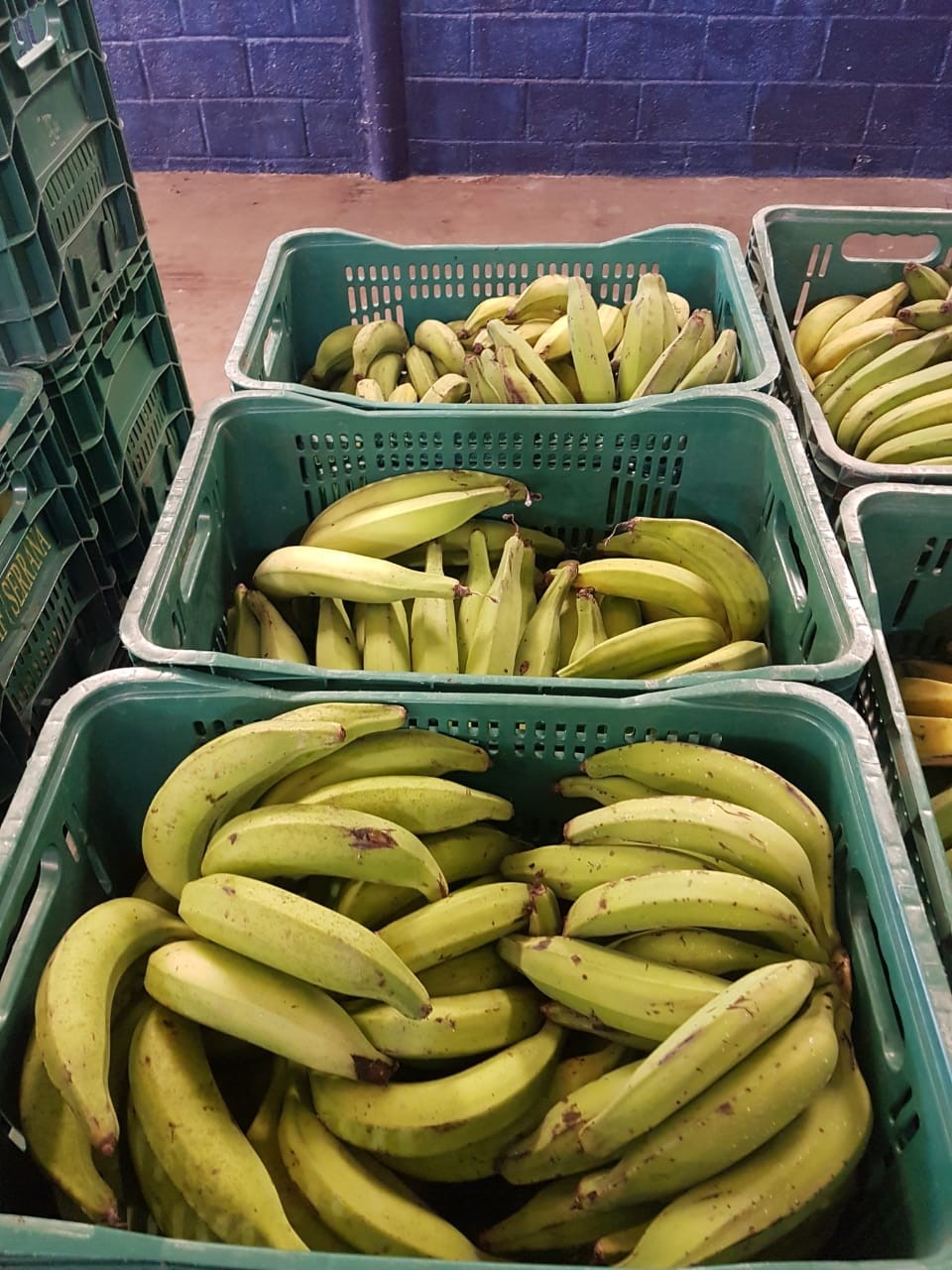 Governo ES - Gêneros alimentícios da agricultura familiar compõem ...